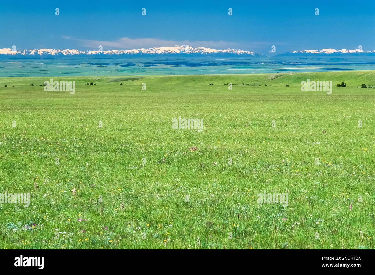vast prairie near judith gap and distant beartooth mountains, montana ...