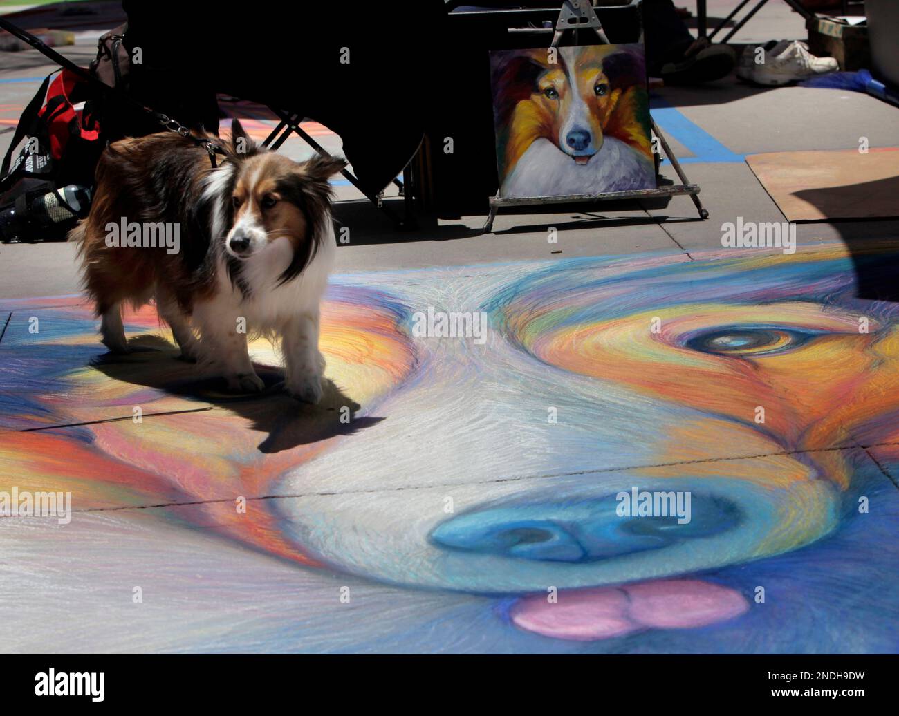 Seven-year-old Shelby walks over a chalk drawing depicting her as ...
