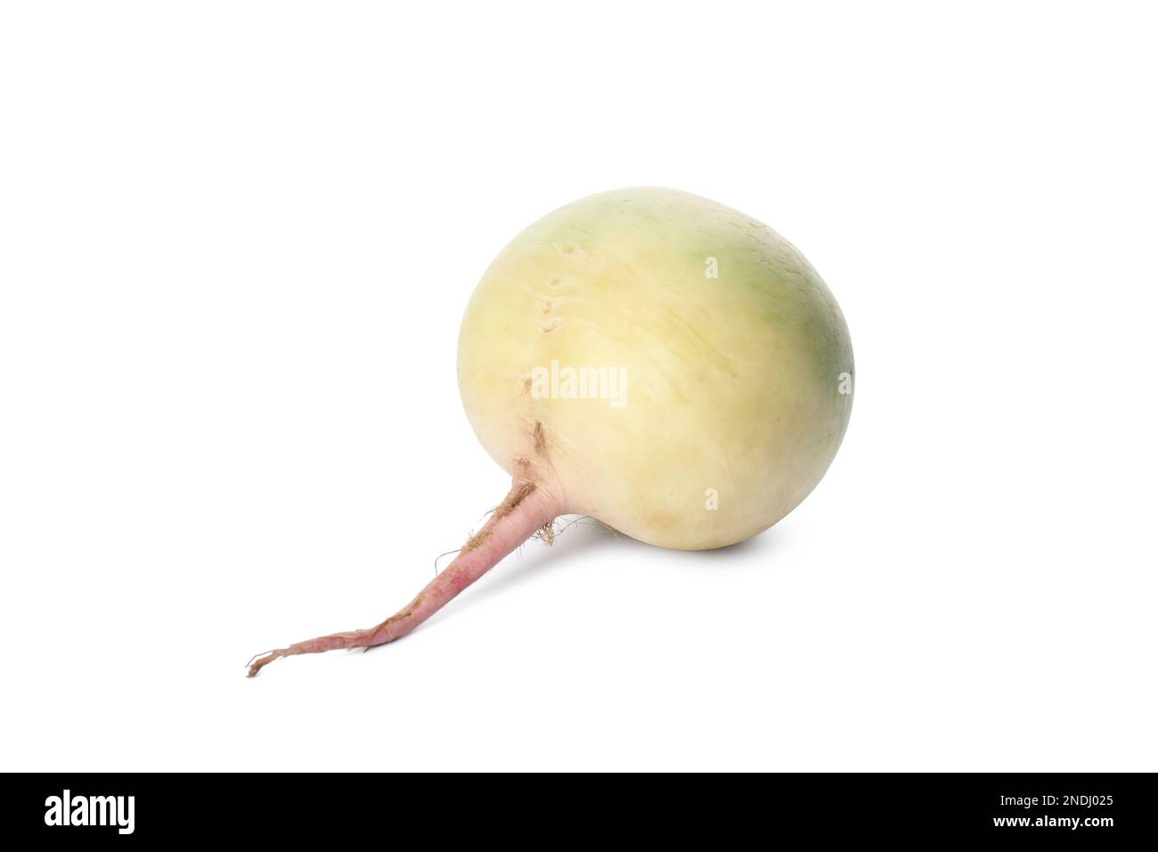 Whole fresh ripe turnip on white background Stock Photo - Alamy