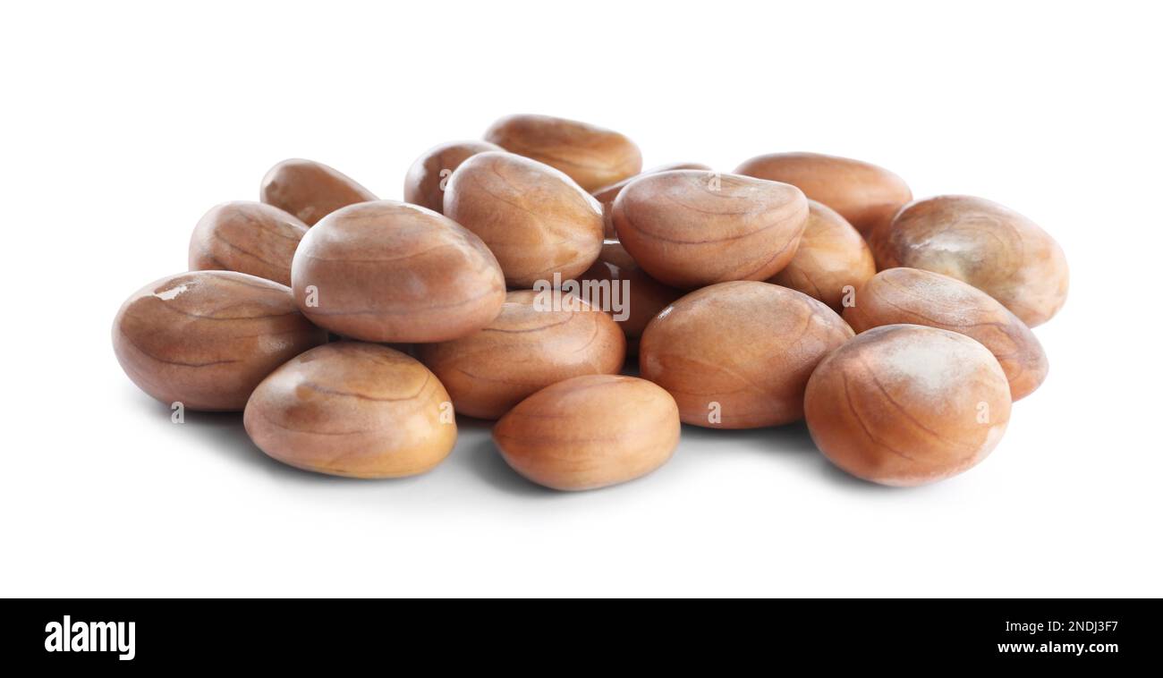 Many raw jackfruit seeds on white background Stock Photo - Alamy