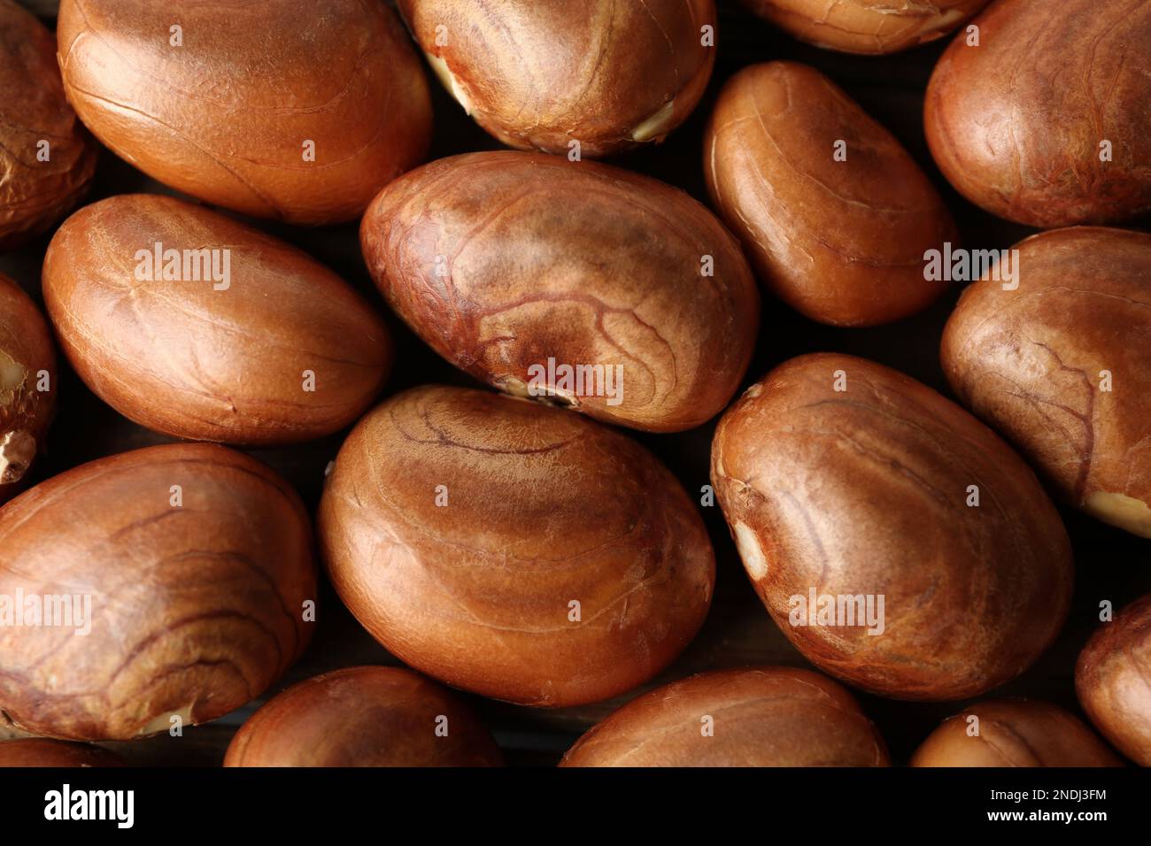 Many raw jackfruit seeds as background, closeup Stock Photo - Alamy