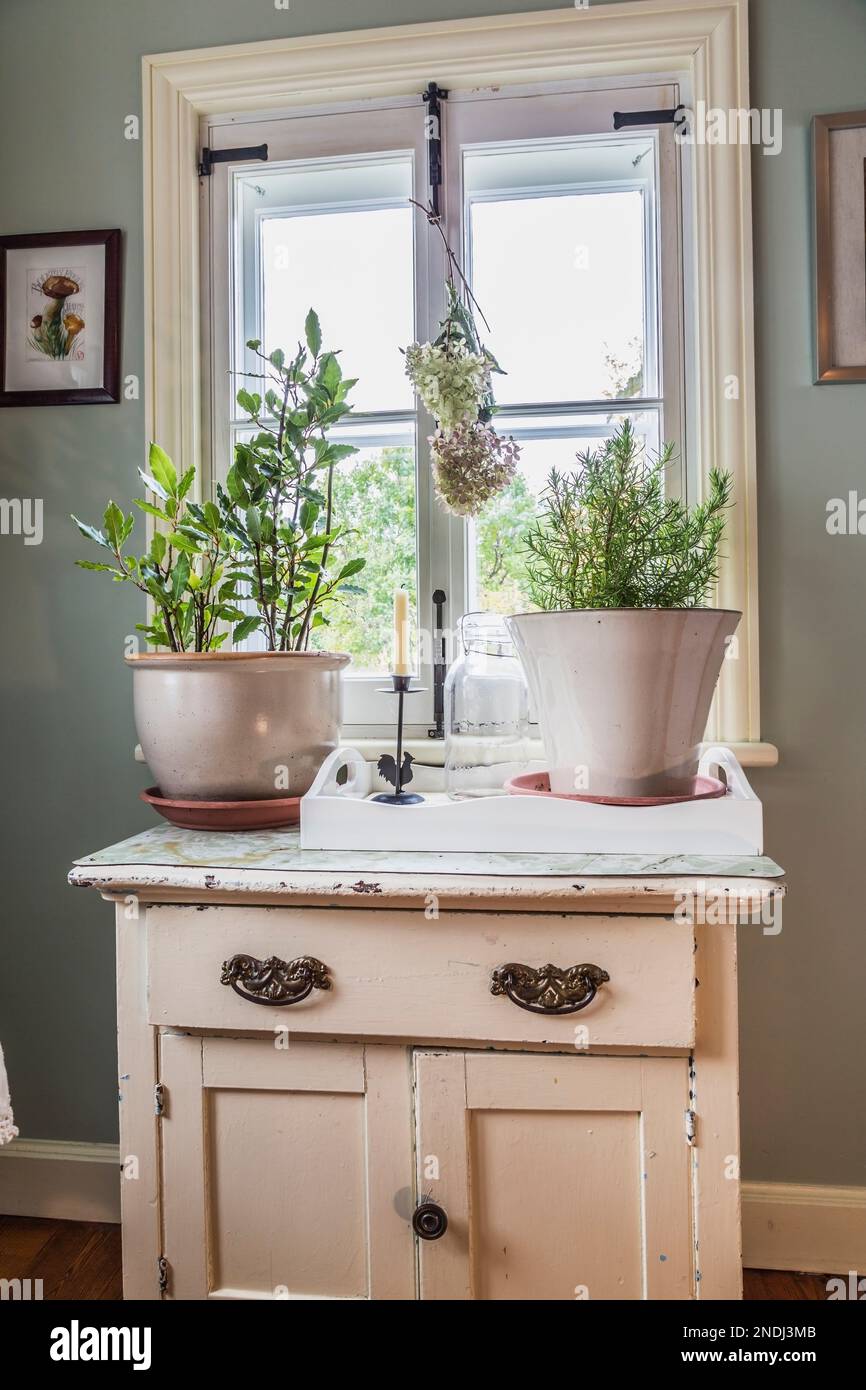Old wooden cabinet with potted green plants in country style kitchen ...