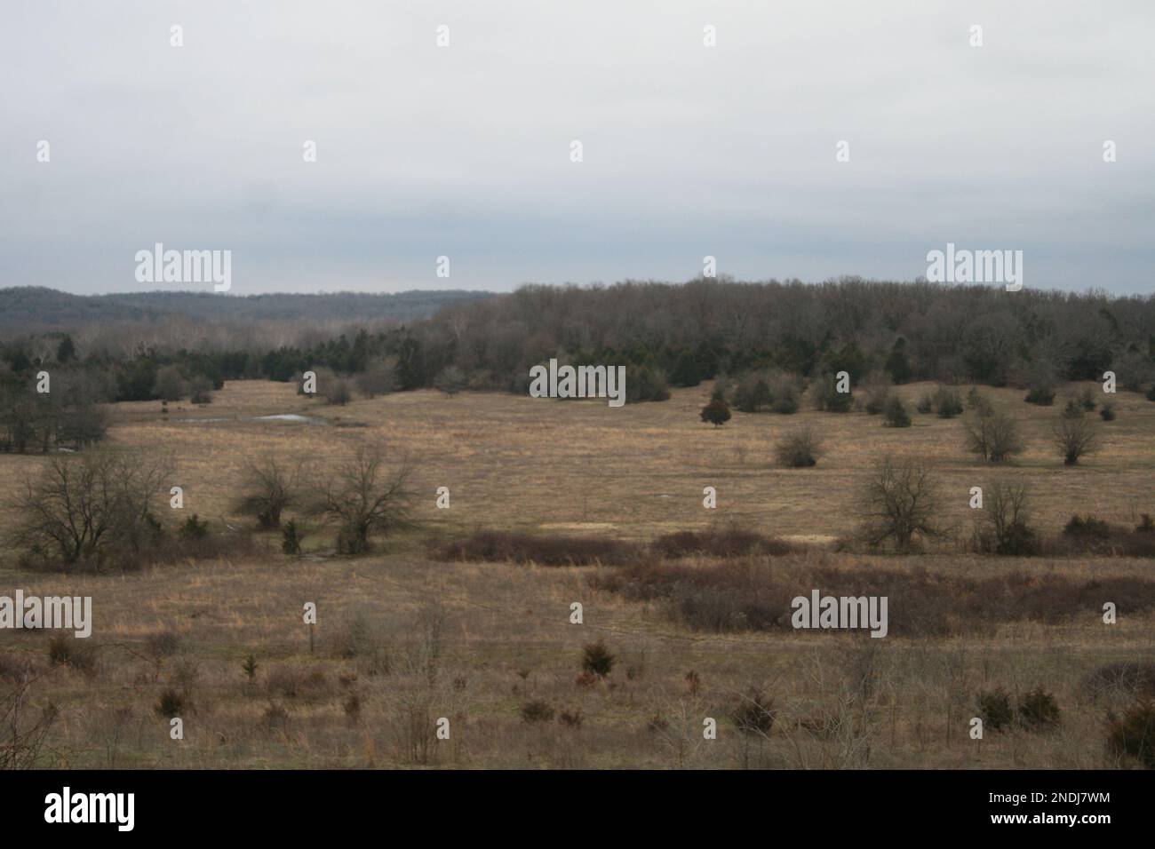 Grasslands and Prairies of Missouri late winter 2023 Stock Photo - Alamy