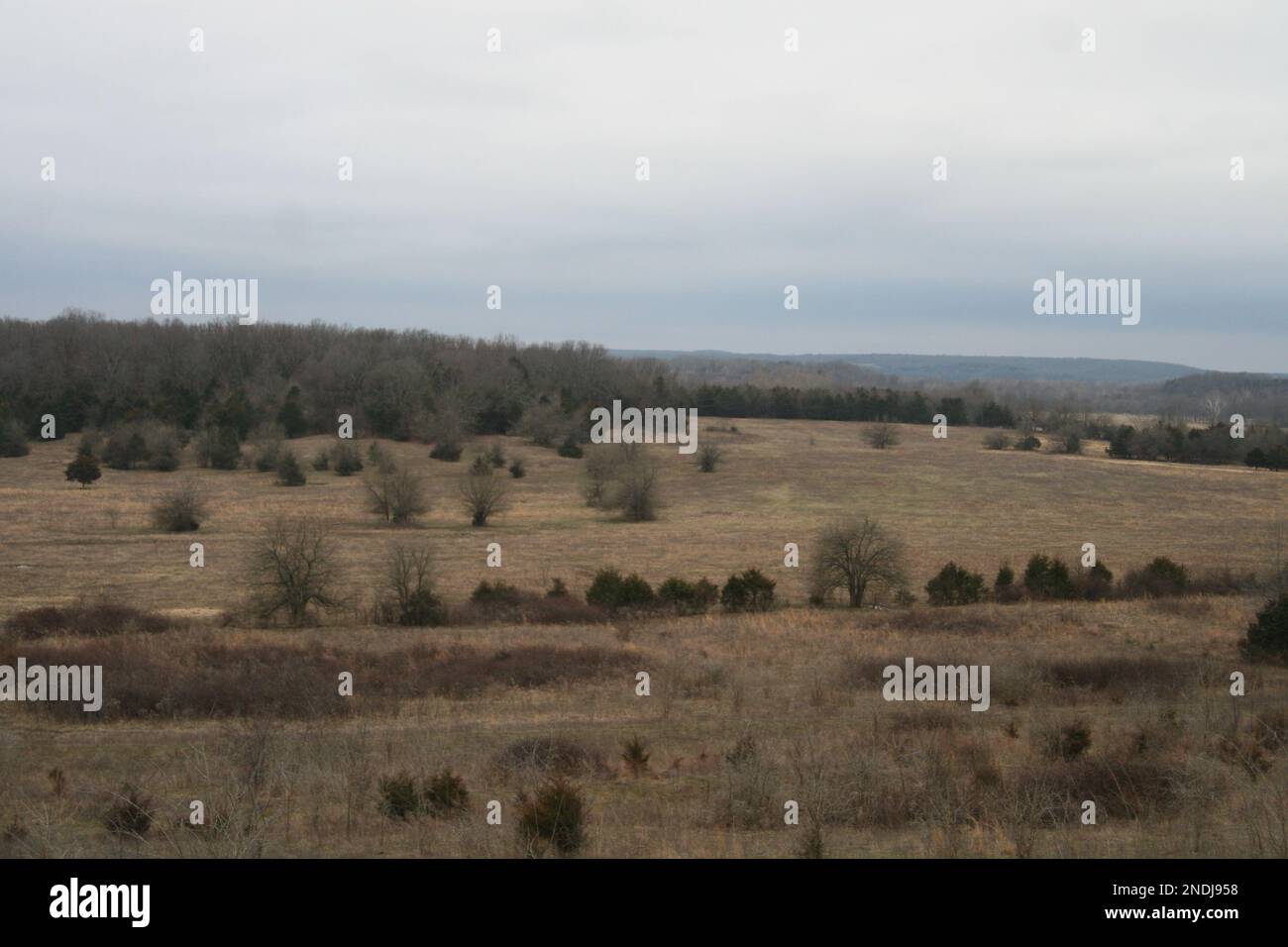 Grasslands and Prairies of Missouri late winter 2023 Stock Photo - Alamy