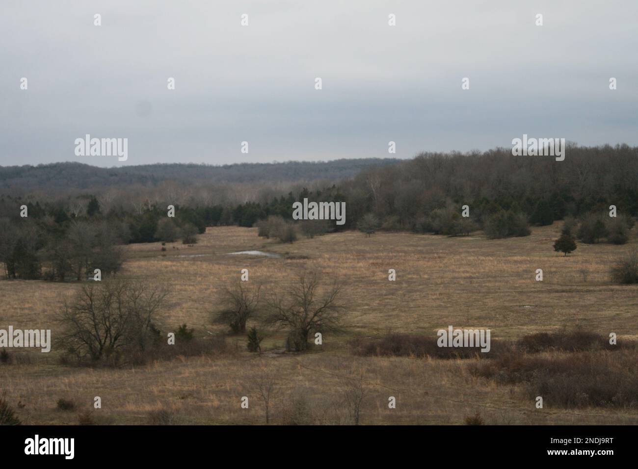 Grasslands and Prairies of Missouri late winter 2023 Stock Photo - Alamy