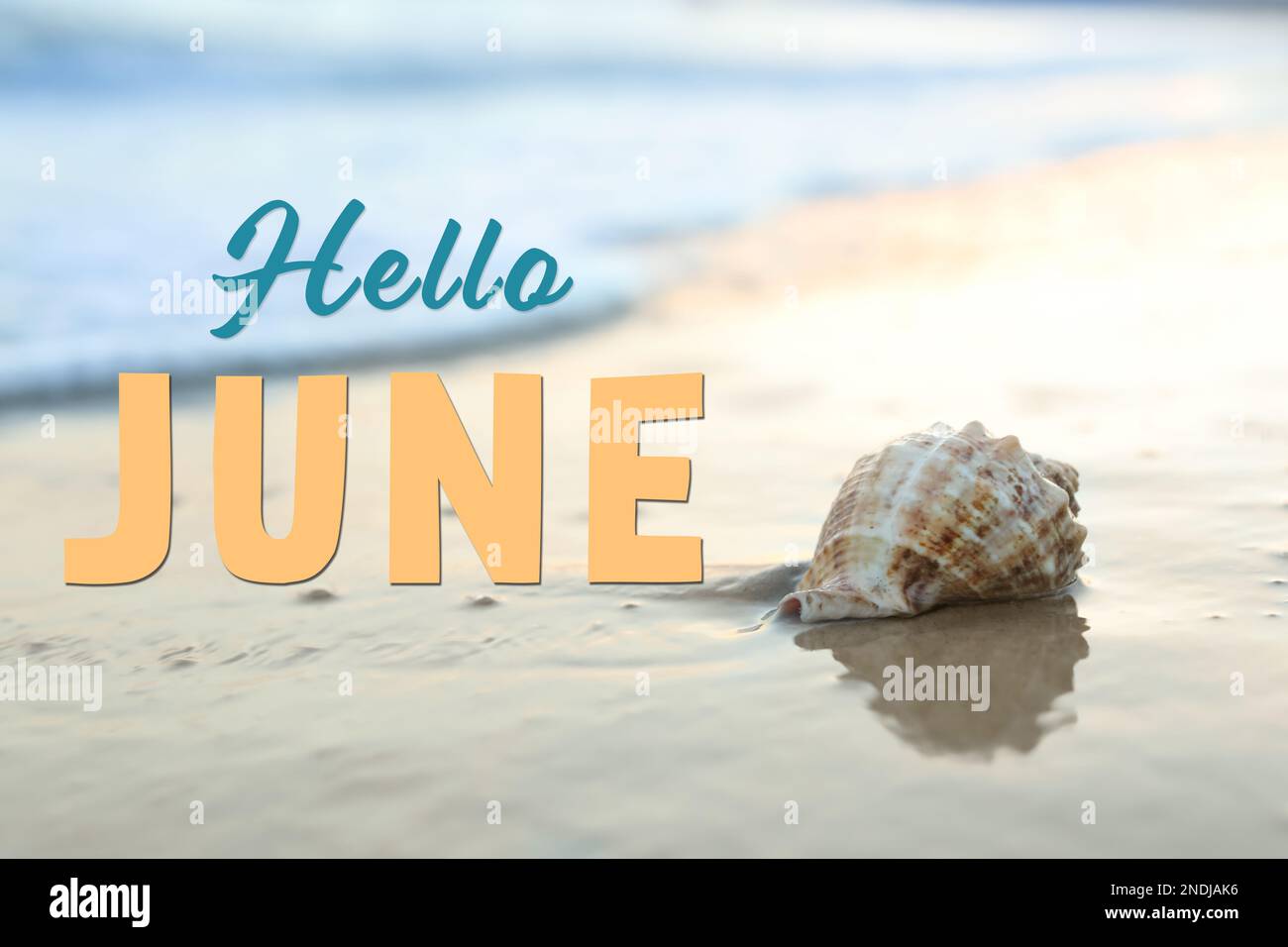 Hello June. Beautiful seashell on sandy beach Stock Photo - Alamy