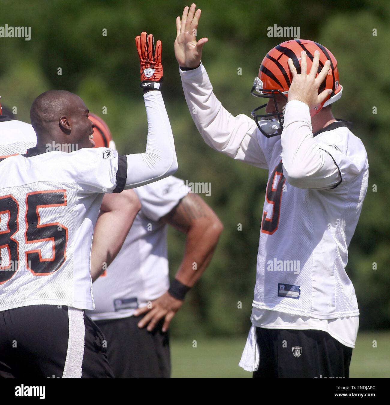 Carson Palmer Chad Johnson