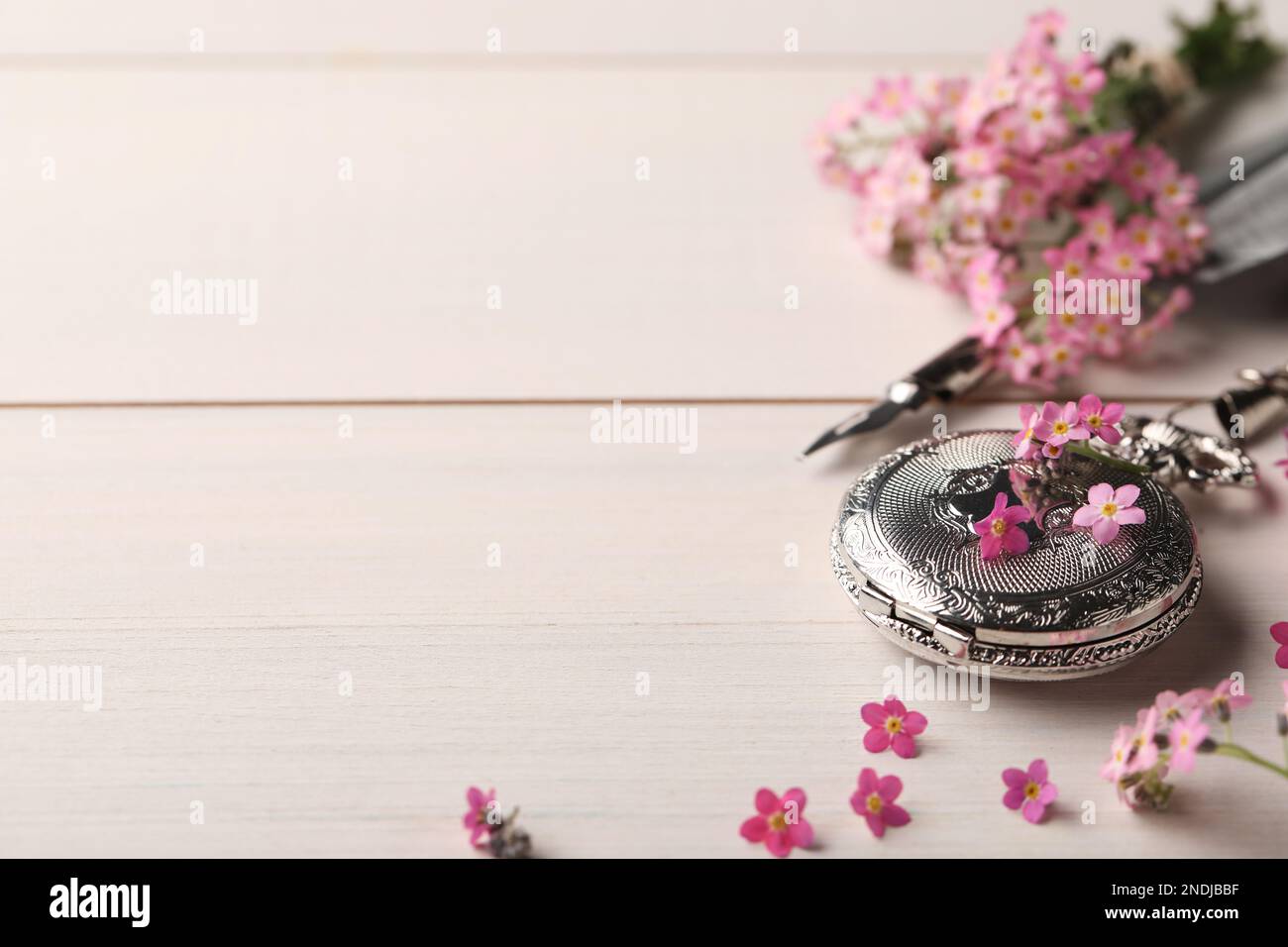 Beautiful Forget-me-not flowers, pocket watch and feather pen on white ...