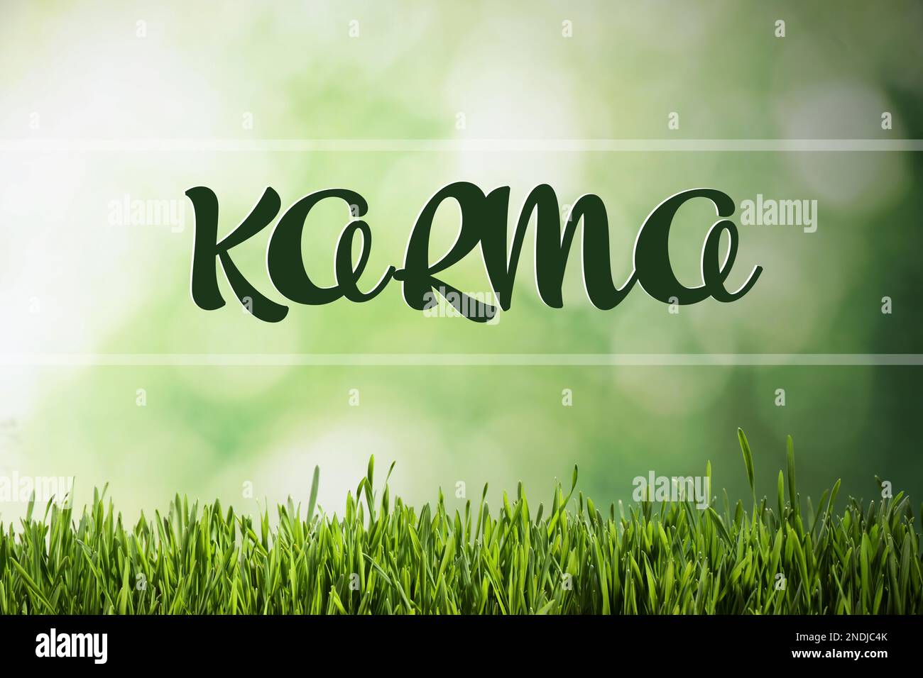 Word KARMA on blurred green background, bokeh effect Stock Photo - Alamy