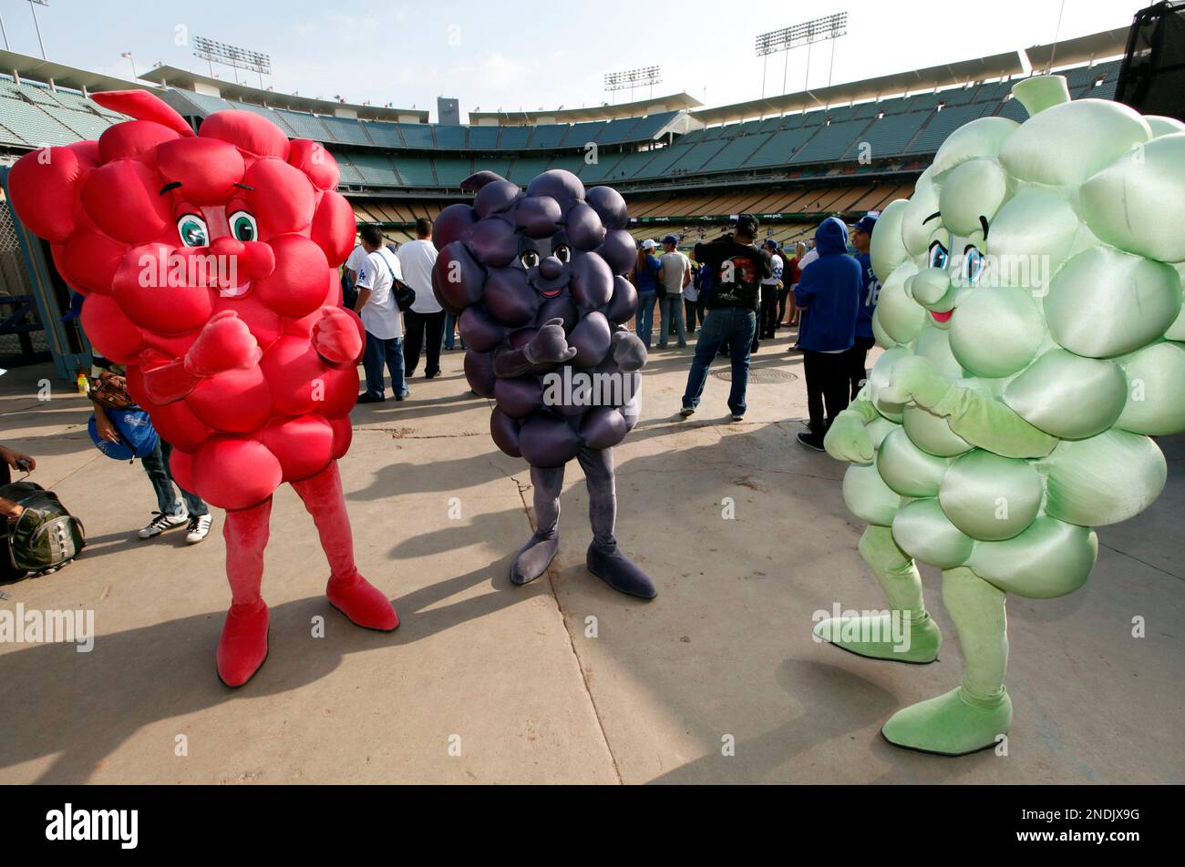 Red, blue-black, and green grapes pose during Grapes From California ...