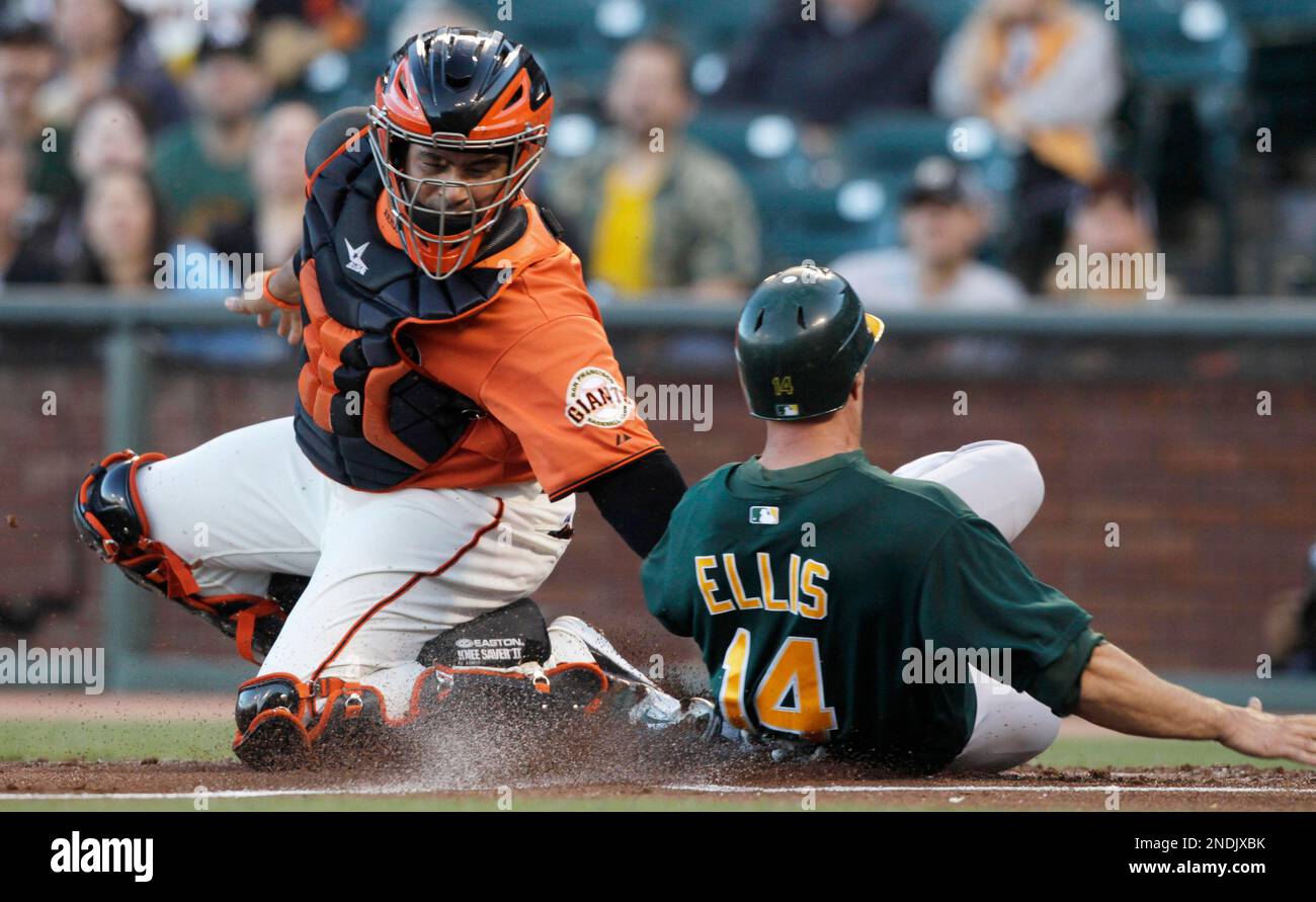 San Francisco Giants' Bengie Molina, left, tags out Oakland Athletics' Mark Ellis at home in the ...