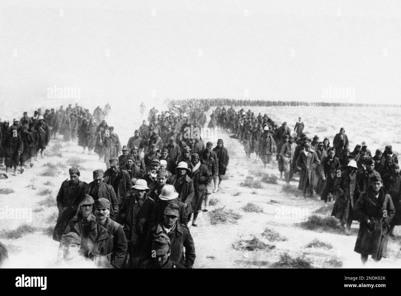 These lines of Italian prisoners, captured in the fall of Bardia ...