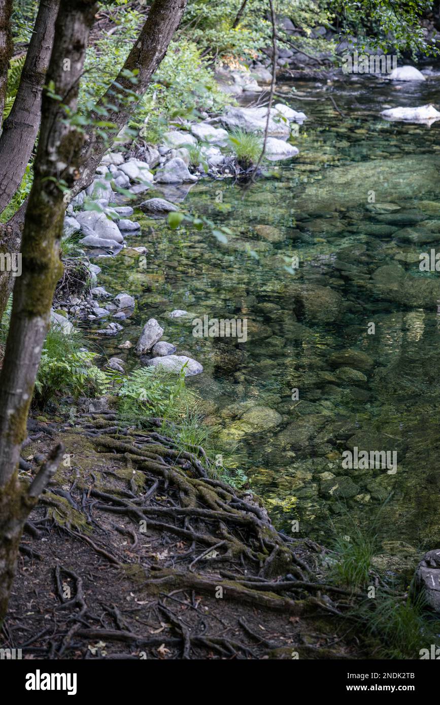 The Big Sur River, a National Scenic River, flowing through Barlow Camp ...