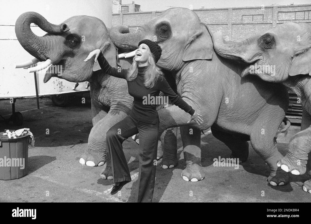 Actress Barbara Eden, filming “Harper Valley PTA” does a dance step ...