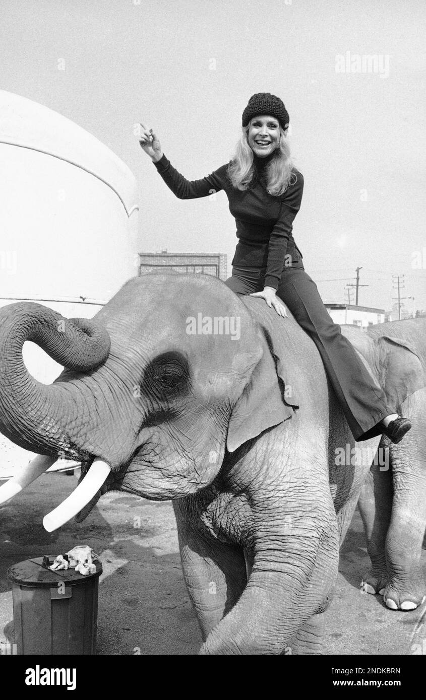 Actress Barbara Eden, filming “Harper Valley PTA” does a dance step ...