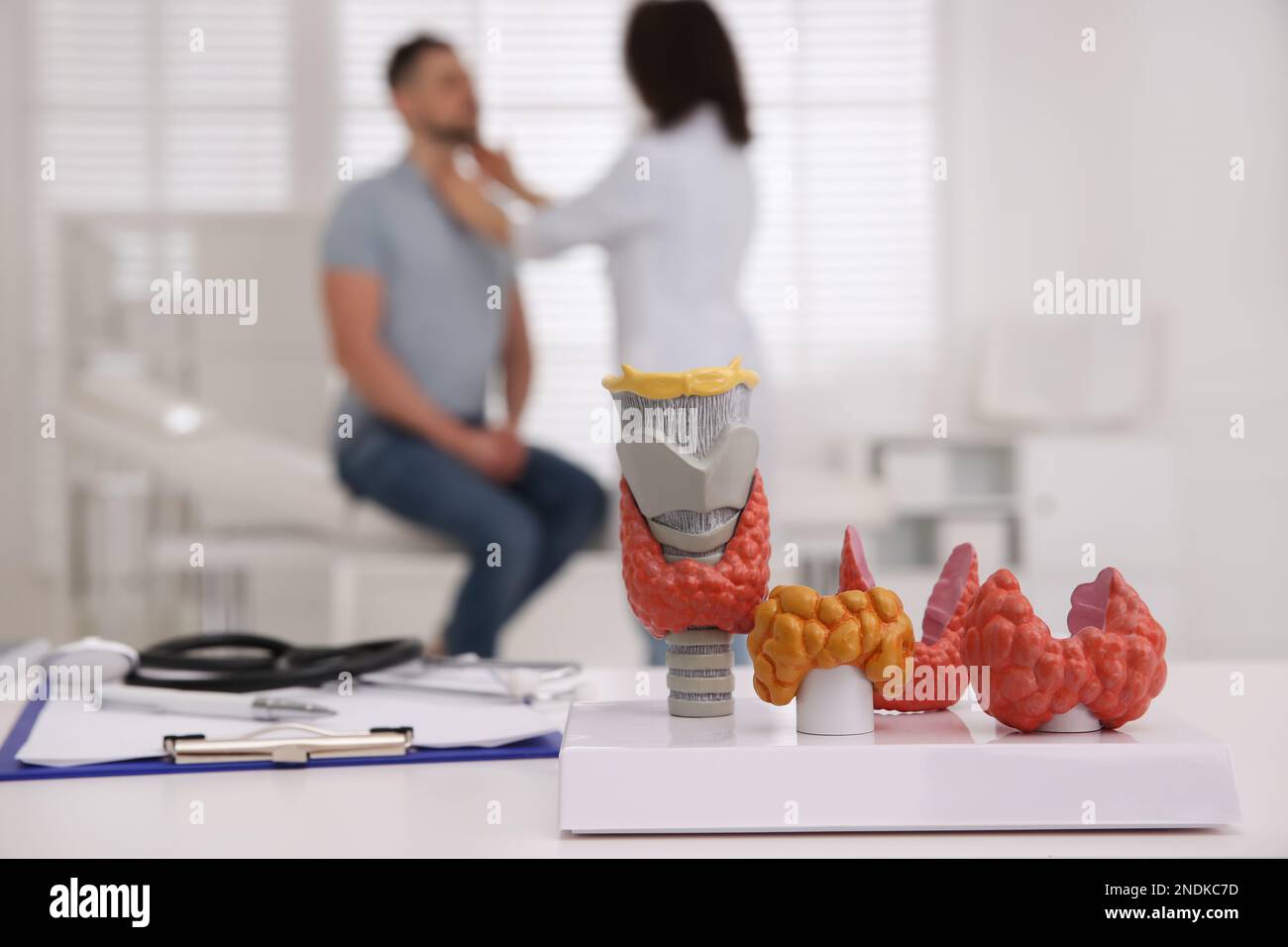 Doctor examining thyroid gland of patient in hospital, focus on organ ...