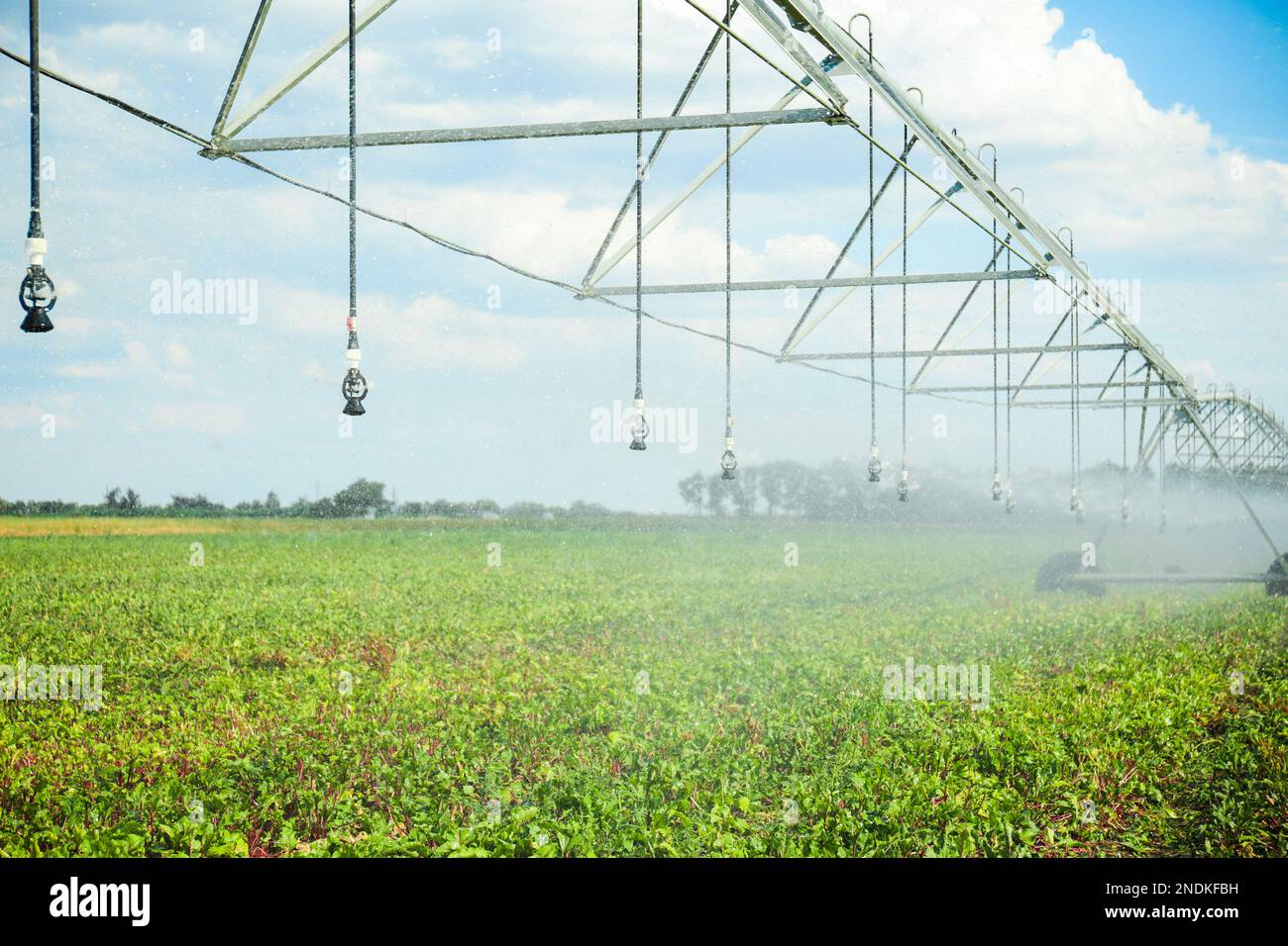 Center pivot irrigation system watering agricultural field Stock Photo ...