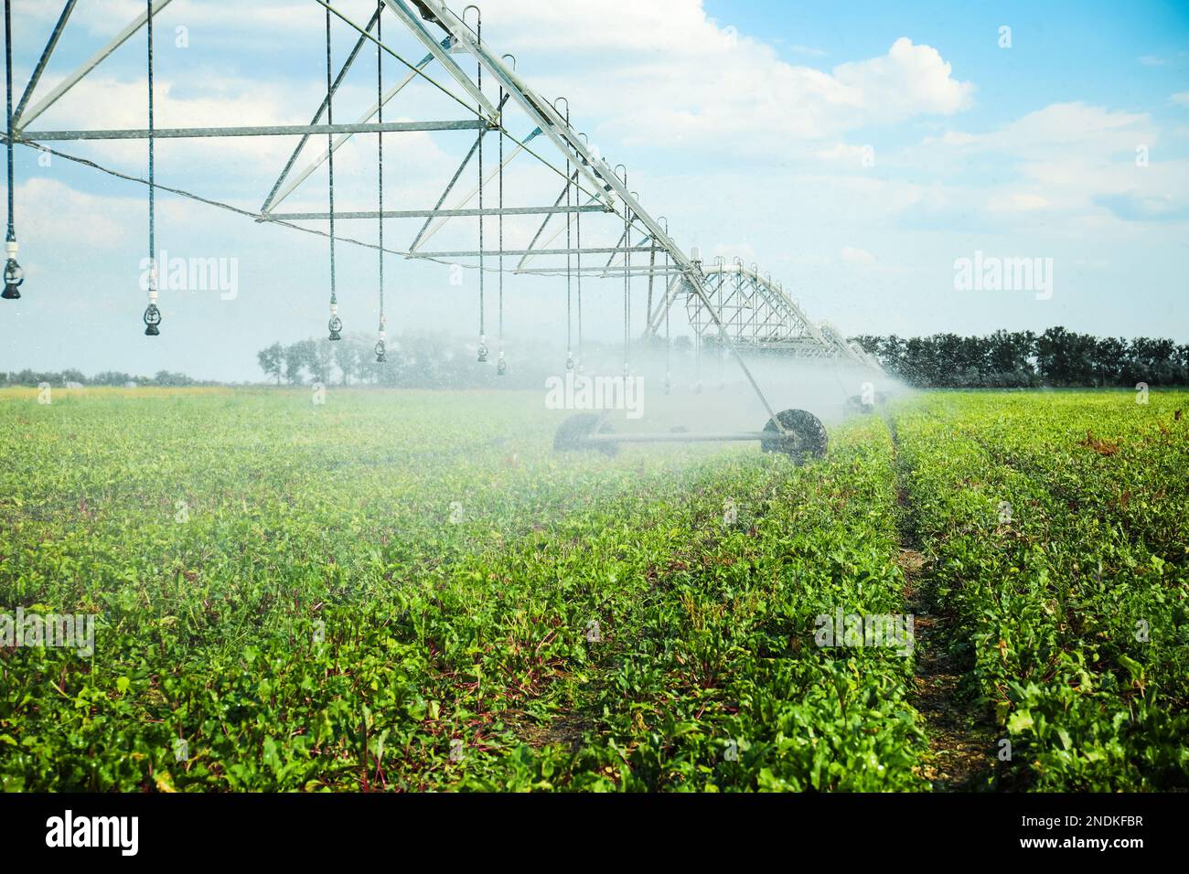 Pivot irrigation system watering hi-res stock photography and images - Alamy