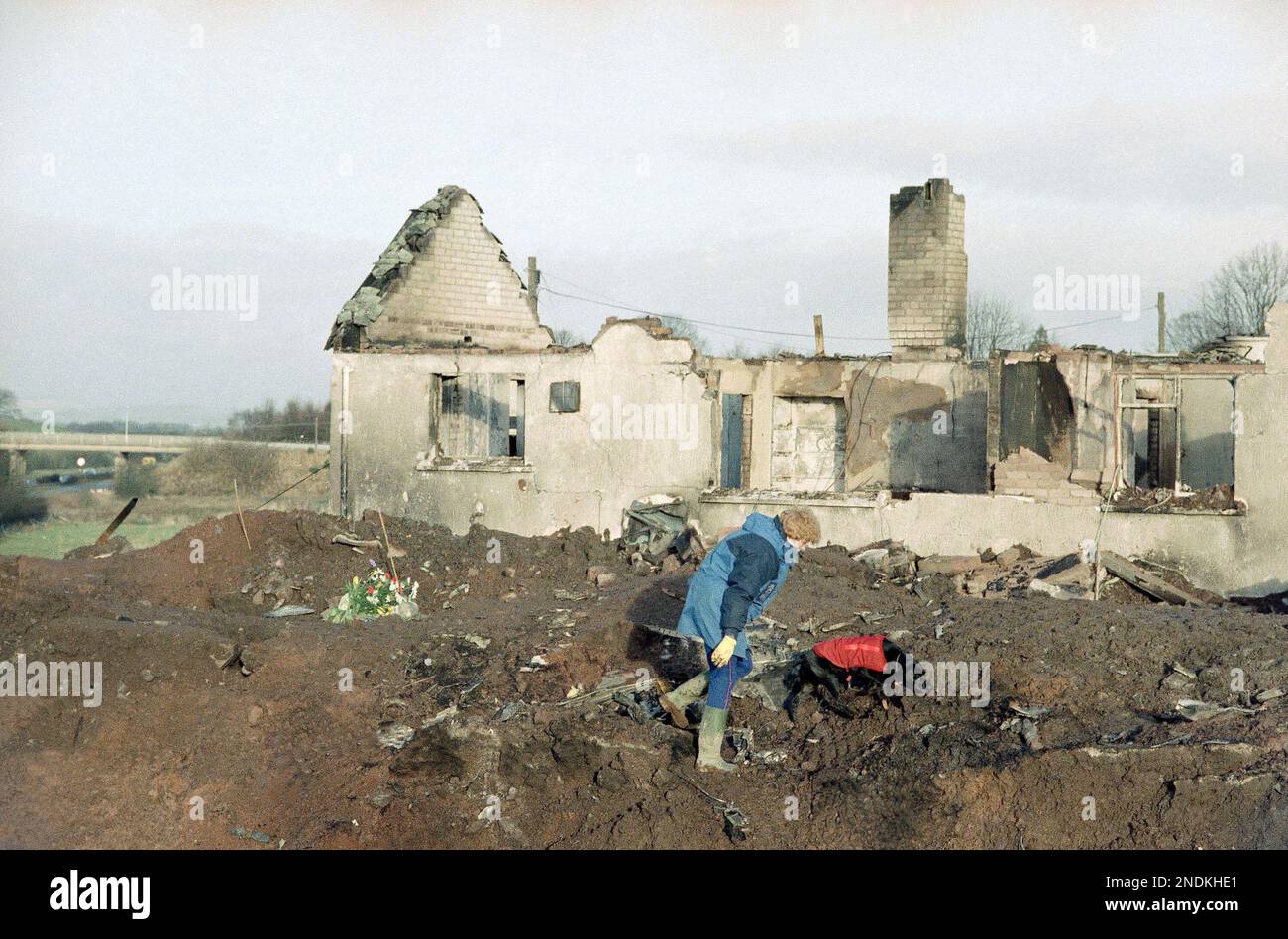 A Sniffer dog searches for minute fragments of the crashed Pan Am Jumbo ...