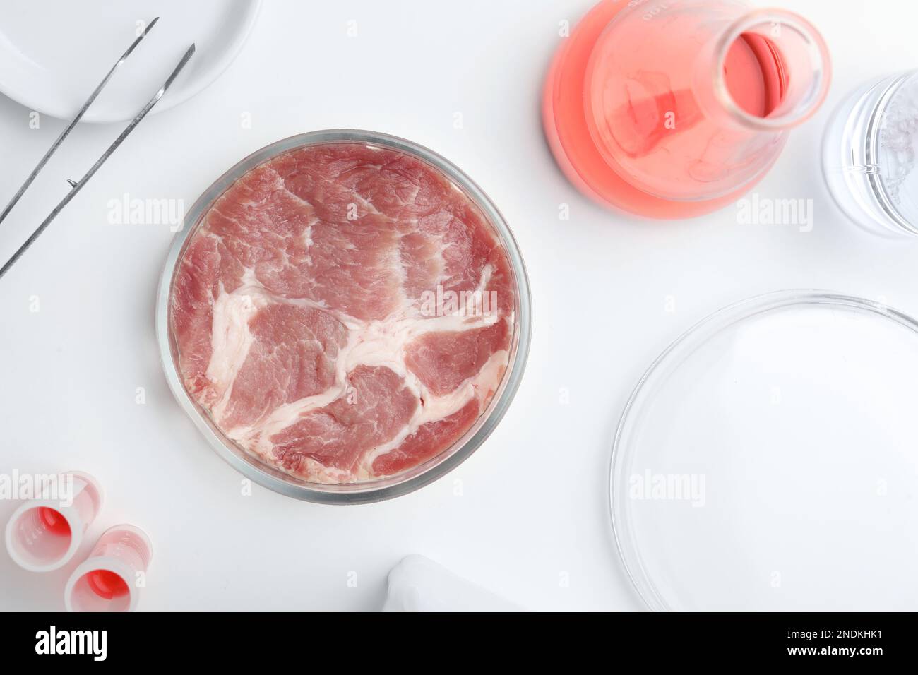 Sample of cultured meat on white lab table, flat lay Stock Photo - Alamy