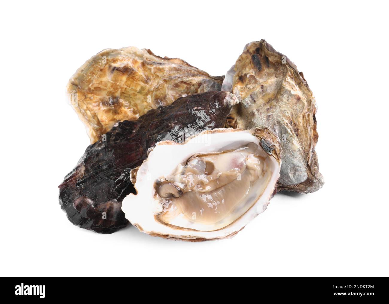 Fresh raw closed and open oysters on white background Stock Photo - Alamy