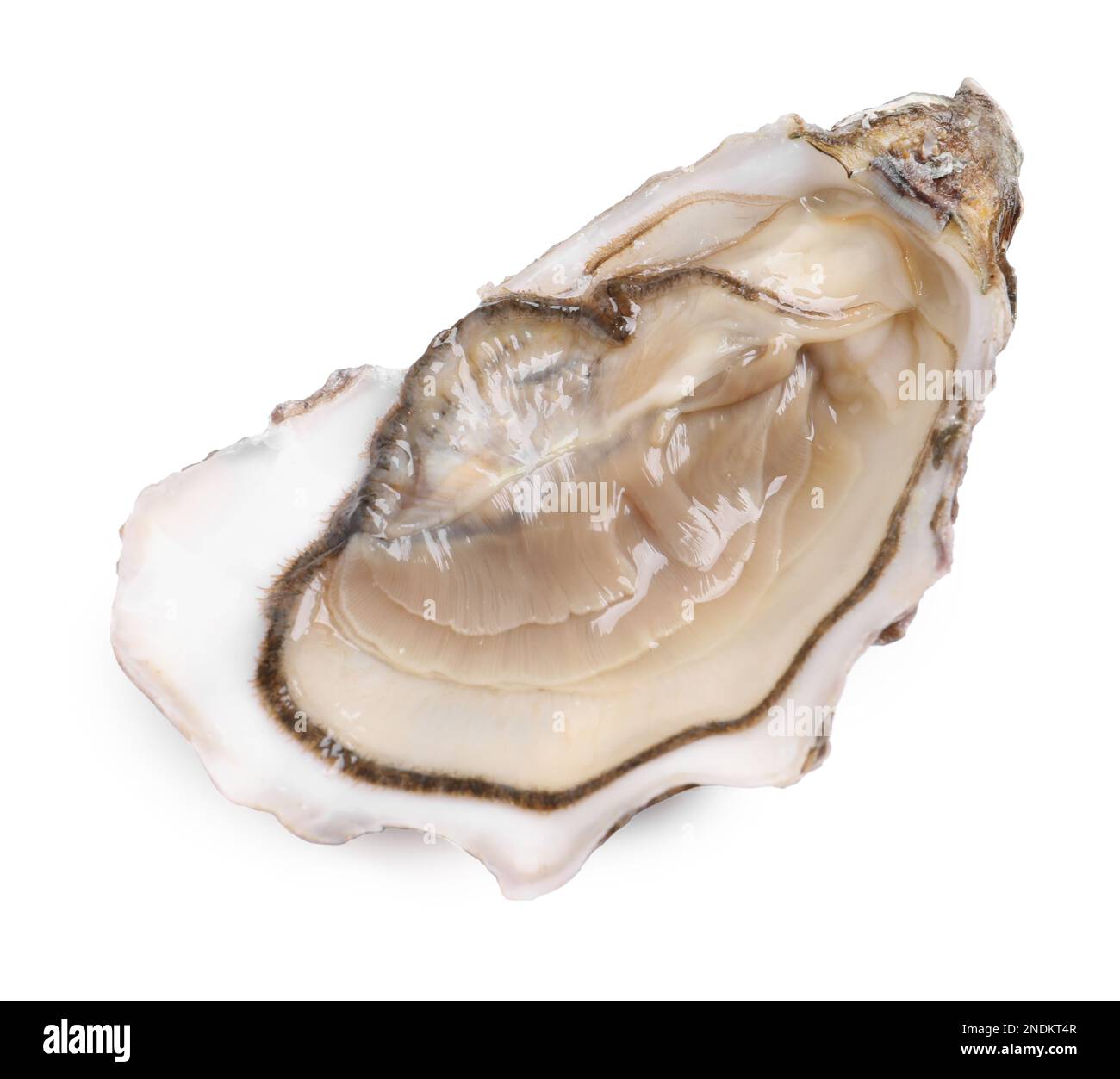 Fresh raw open oyster on white background Stock Photo - Alamy