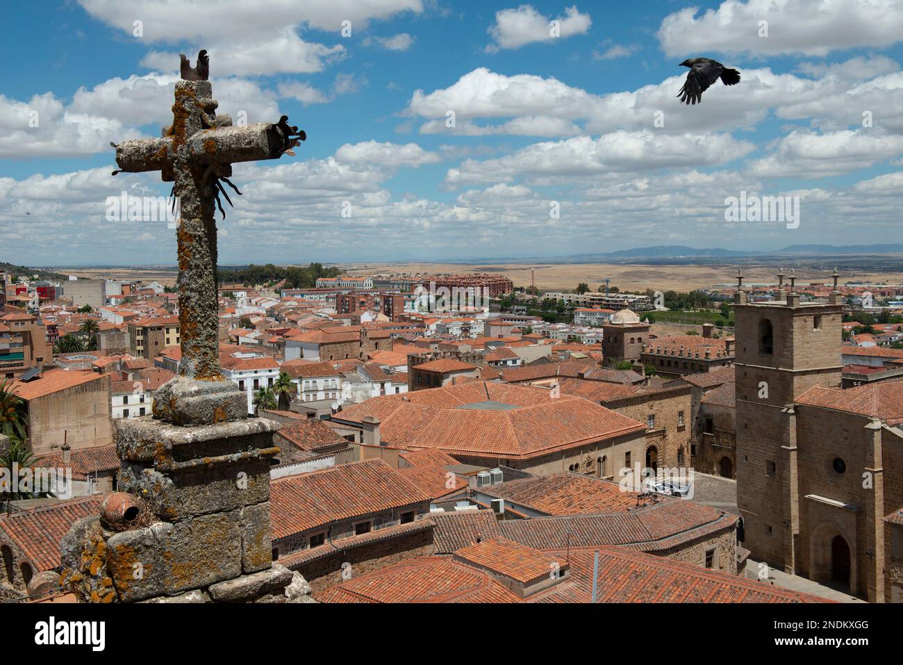 Crow flying towards crucifix from tower, San Francisco Javier Church ...
