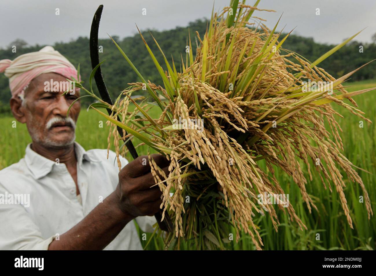 In this photo taken Friday May 28, 2010, an elderly Assamese man ties ...