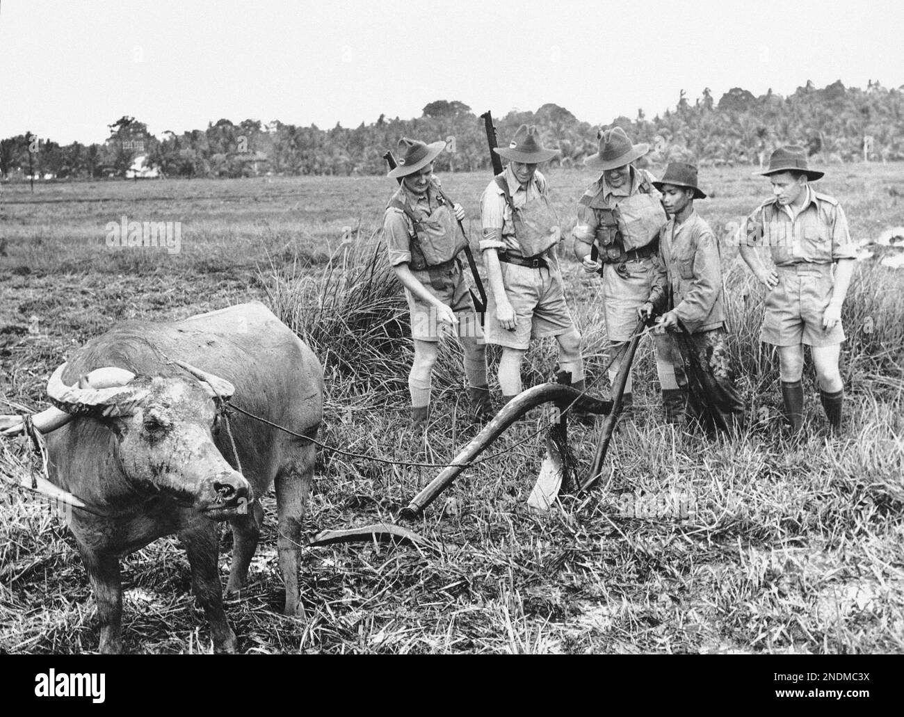 Australian soldiers, who were farmers in their homeland before the war ...