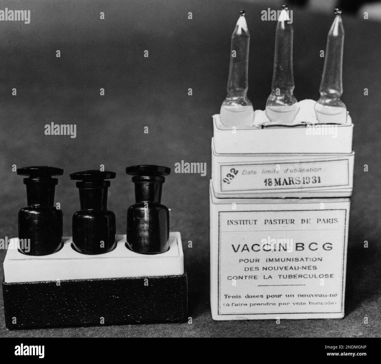 March 1931 image of Vaccine BCG ampullae against tuberculosis taken at ...