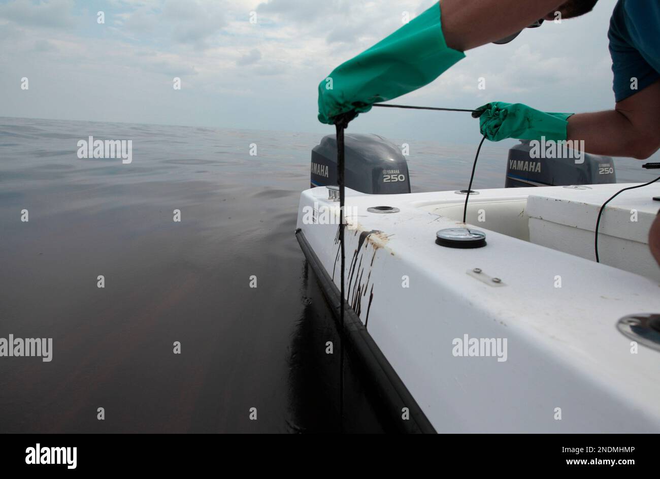 Oil floats on the surface of the Gulf of Mexico near the coast of ...