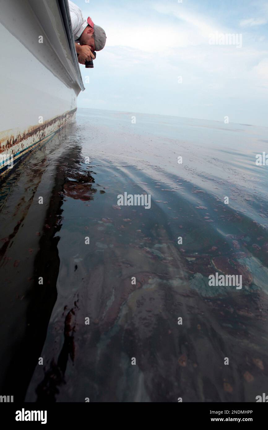 Oil floats on the surface of the Gulf of Mexico near the coast of ...