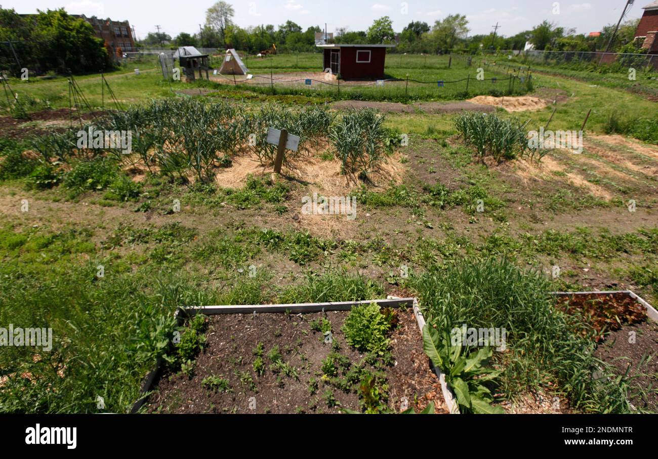 This Friday, May 28, 2010 picture shows the farm at Catherine Ferguson ...