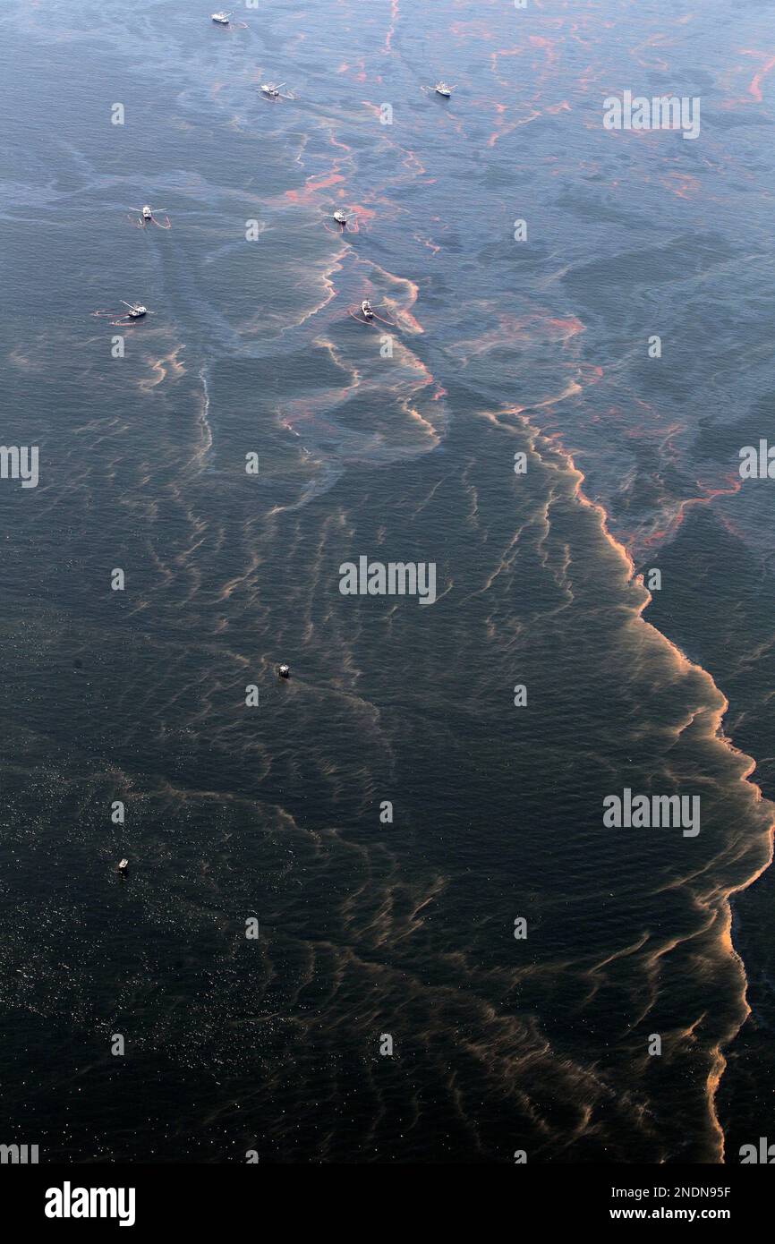 Shrimp boats are used to collect oil with booms in the waters of ...