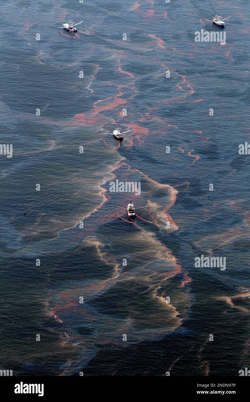 Shrimp boats are used to collect oil with booms in the waters of ...