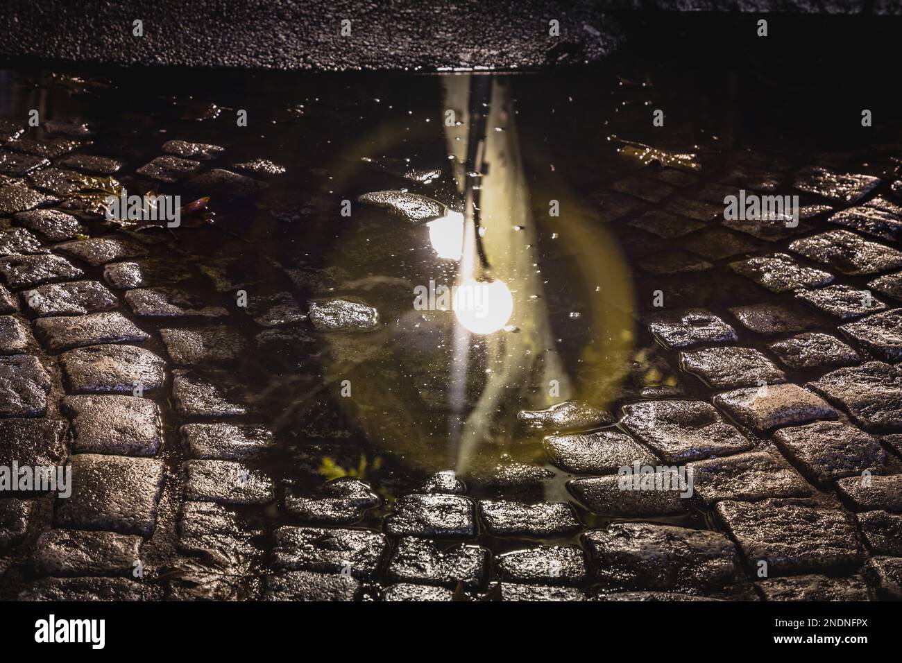 Vilnius old town street, puddle reflection illuminated at night ...