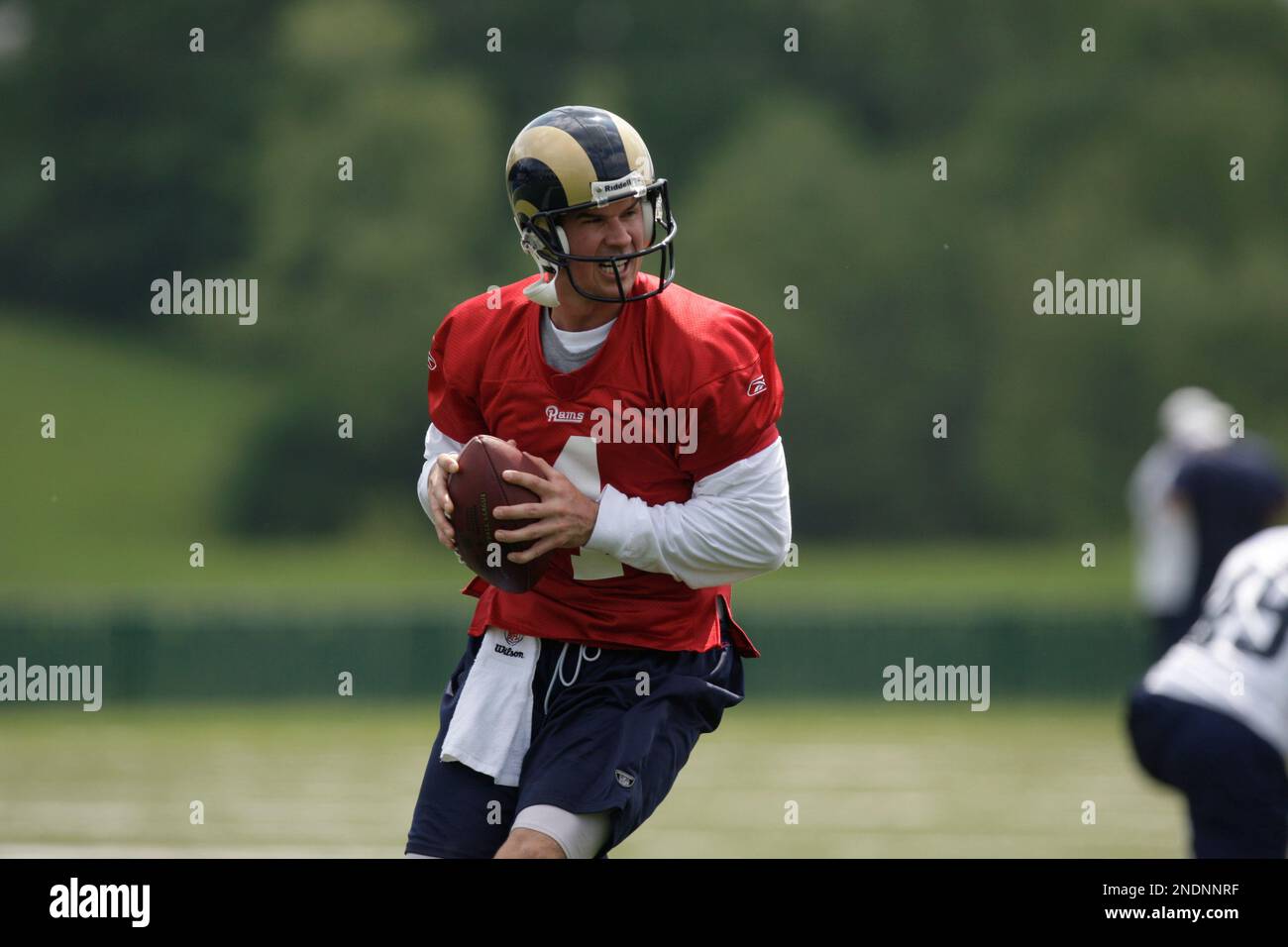 St. Louis Rams quarterback A.J. Feeley drops back to pass during NFL ...