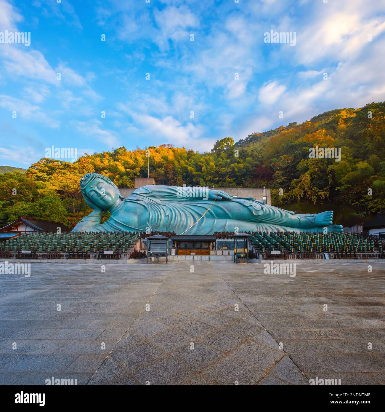 Fukuoka, Japan - Nov 21 2022: Nanzoin Temple in Fukuoka is home to a ...