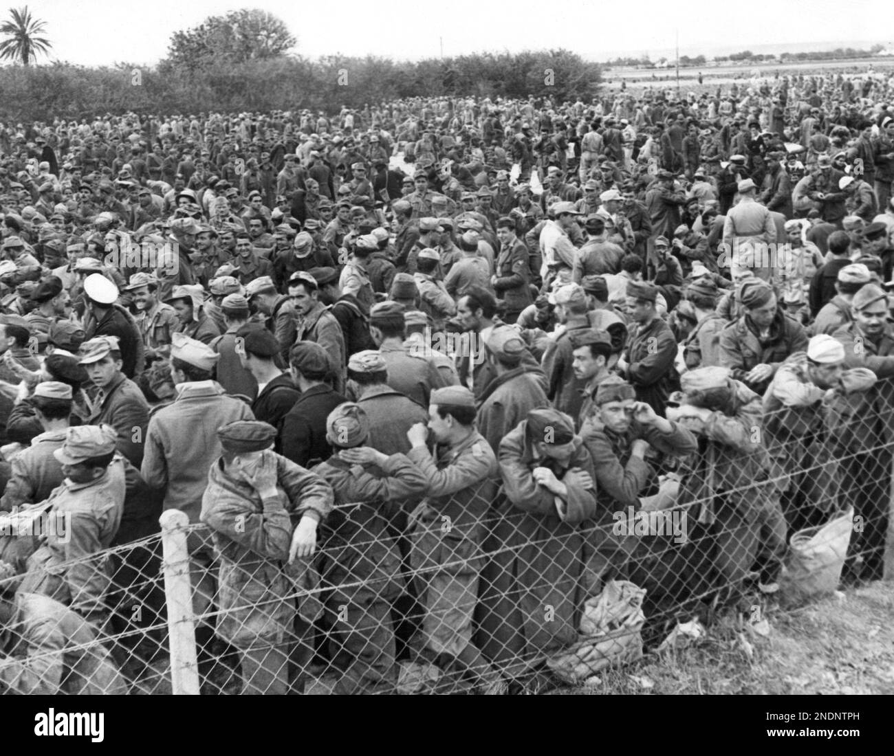 Some of the 50,000 axis prisoners-soldiers, sailors are airmen-captured ...