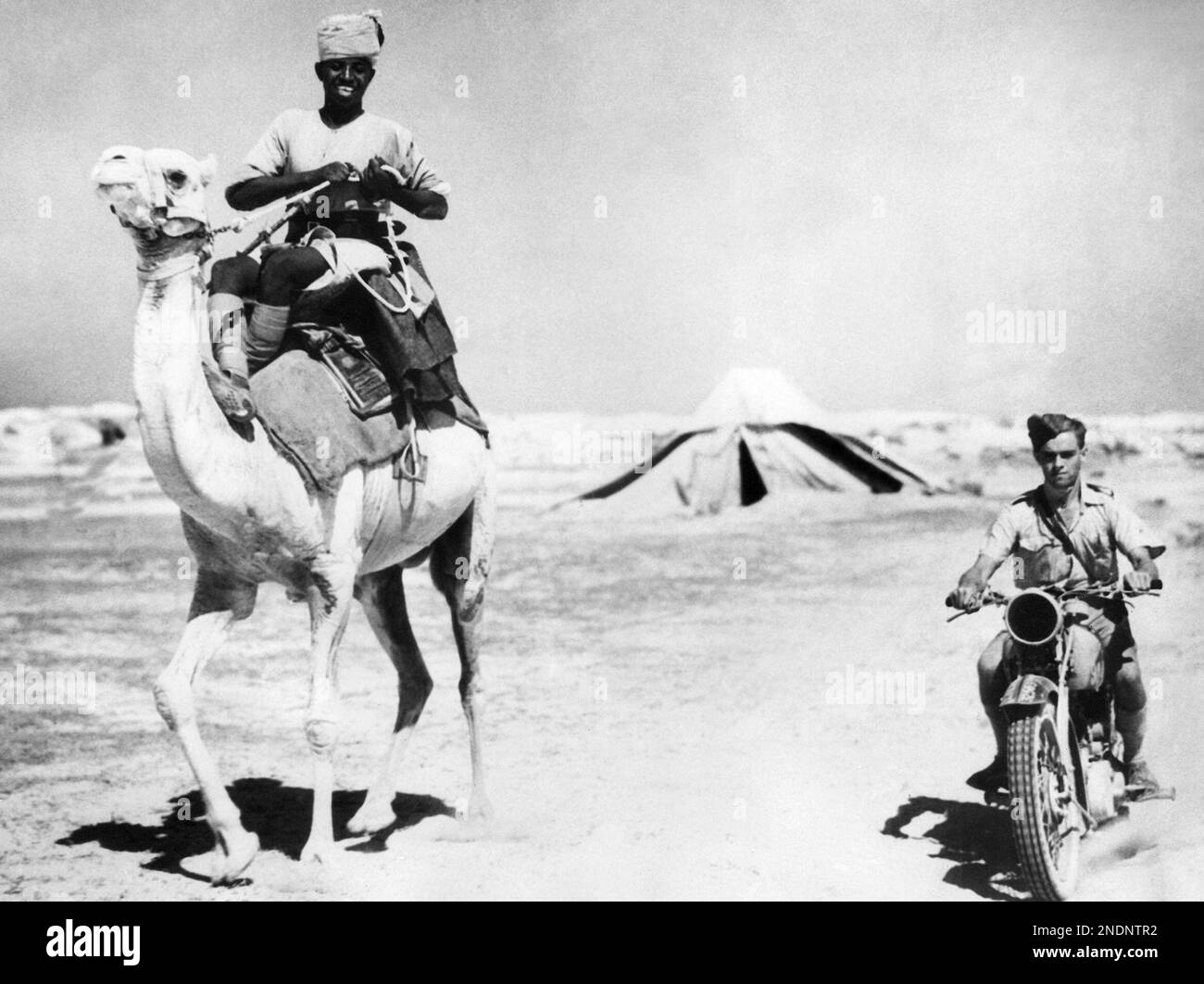 The racing camel of the Sudanese and the motorcycle of the R.A.F. rider ...