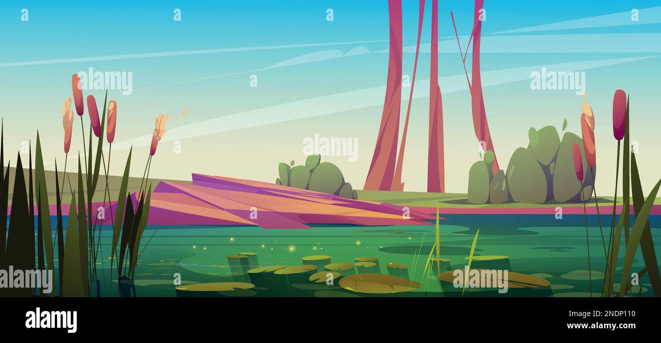 Green swamp and cattail near lake vector background. Pond in bush with ...