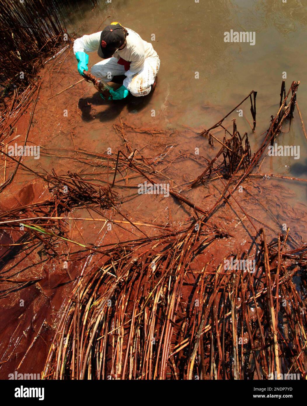 Greenpeace worker Lindsey Allen collects samples of oil that washed up ...