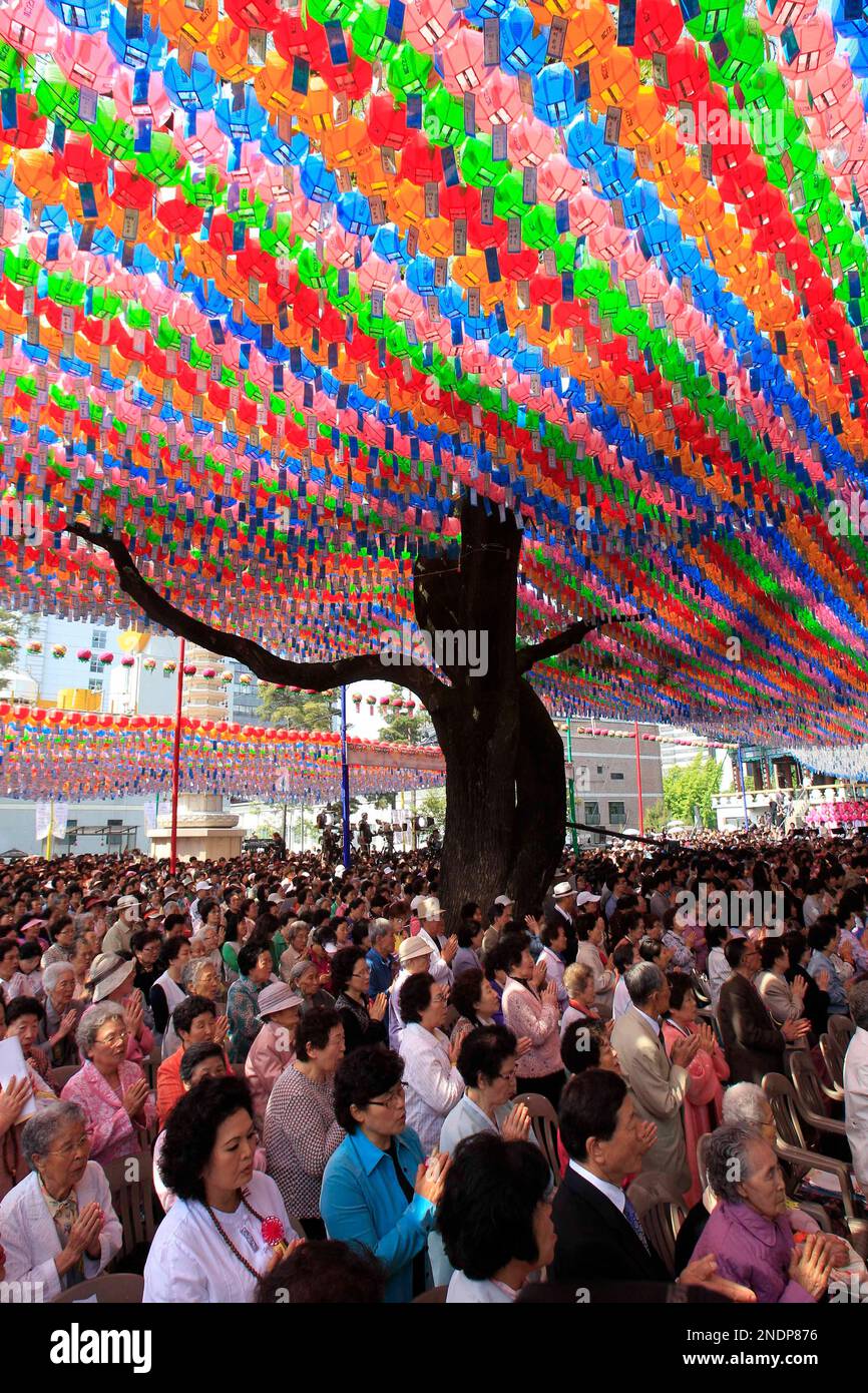 Under colorful lanterns, the South Korean faithful pray during a ...