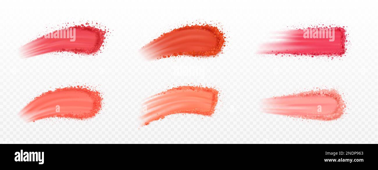 Set of vector realistic face blusher powder smear. Isolated makeup ...