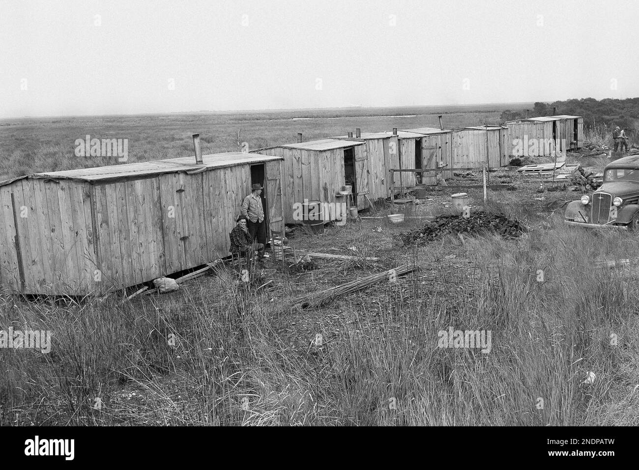 Typical is this camp of the trappers in the swamps of Louisiana, shown ...
