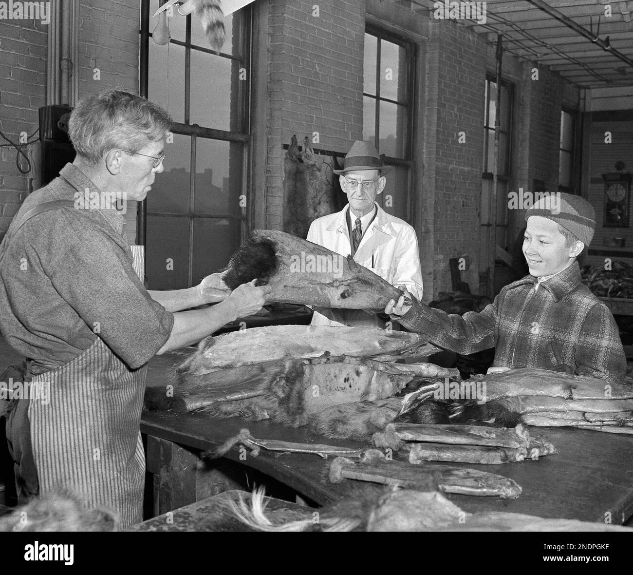 Paul Stumpf, right, 12-year-old fur trapper of Columbia, Ill., sells an ...