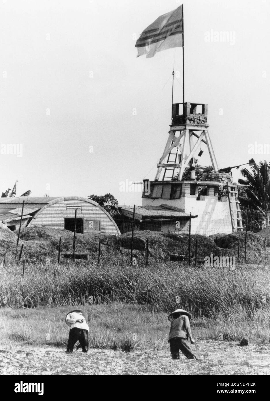In war as in peace, a Vietnamese farmer plows his rice paddy with water ...