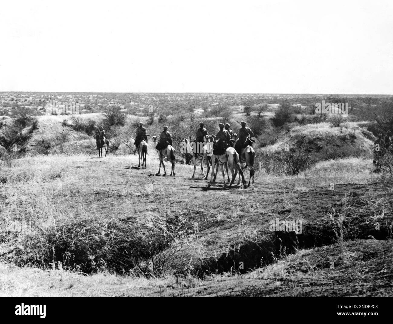 The Camel Patrol of the Sudan Defense Force attached to an Indian ...