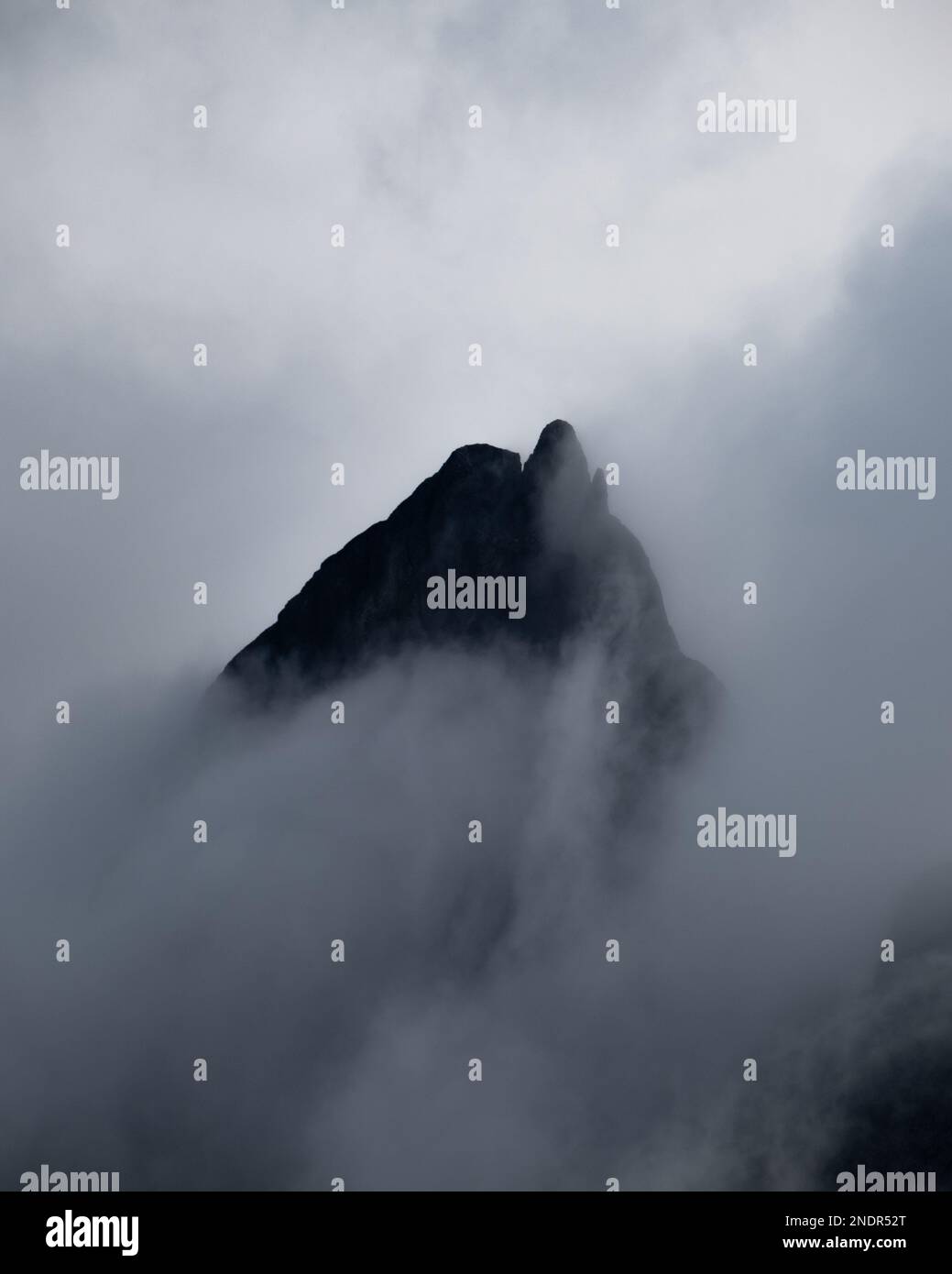 the mighty black tusk Stock Photo - Alamy