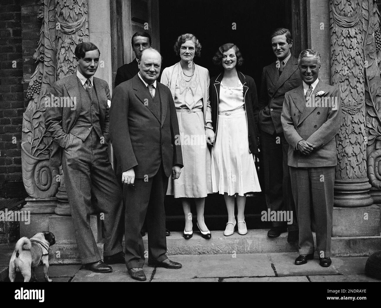 Charlie Chaplin Family Tree